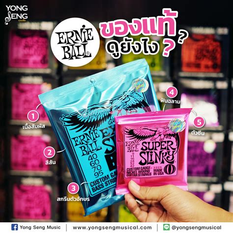 Yong Seng Music 5 จุดสังเกต 🧐 สาย Ernieball