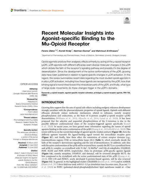 Pdf Recent Molecular Insights Into Agonist Specific Binding To The Mu Opioid Receptor