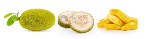 亚洲高清图片下载 正版图片507494093 摄图网