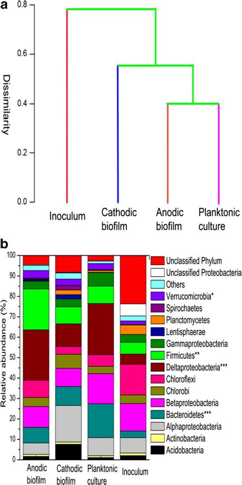Microbial Community Analysis Of The Collected Microbial Samples From