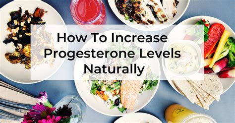 How To Increase Progesterone Levels Naturally Kat Khatibi Podcast On Health Happiness And Beauty