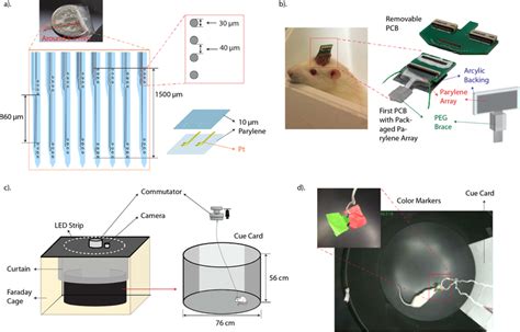 Application Of Parylene Based Flexible Multi Electrode Array For Recording From Subcortical