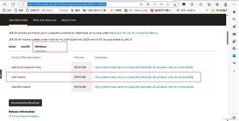 Vscode配置java环境 全程记录 配置成功 Windowsvscodejava环境变量配置 Csdn博客