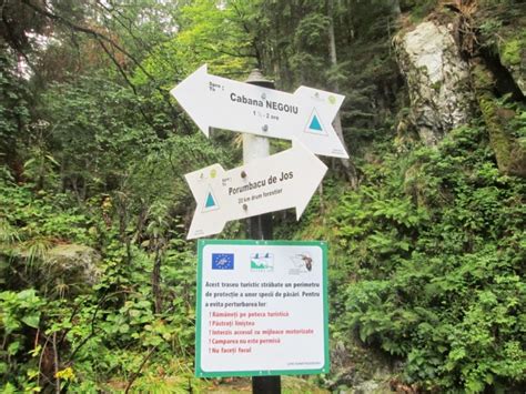 Varianta De Coborire De La Cascada Serbota In Drumul Forestier De
