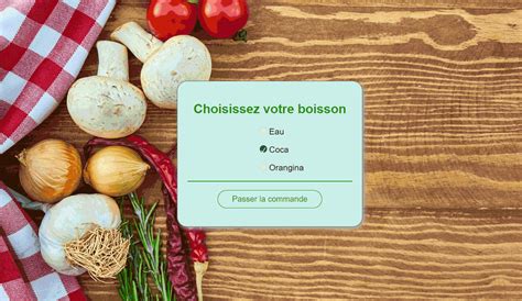 tuto apprendre à personnaliser une checkbox en css sur
