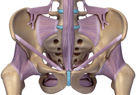 Pelvic Floor Muscle Treatments Urogynecologist Pelvic