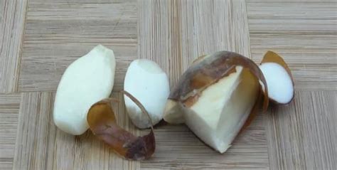你是否会选择冷冻榴莲来吃呢 榴莲冷冻后再解冻还能吃吗 闪电鸟