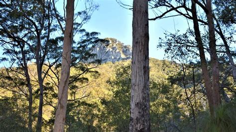 We Climbed Mt Larcom Australia Travel Amazing Pics Bucket List