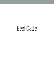Comparison Of Dairy Beef Industries Milk Vs Meat Biology Course Hero