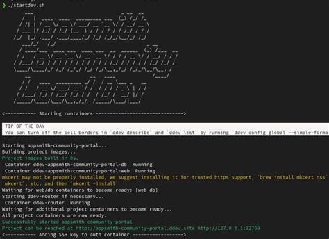 Speed Up Drupal Development With This Simple Ddev Script Appsmith
