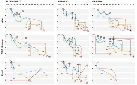 Multiscale Temporal And Spatiotemporal Analysis Of Wheat Blast