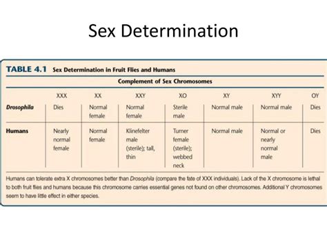 Chromosome Theory March 1 Ppt Download