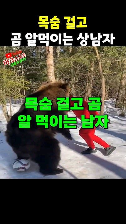 목숨걸고 곰 알 먹이는 남자😱😱😱 Youtube