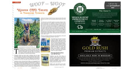The Evolution Magazine June 2022 Page 35