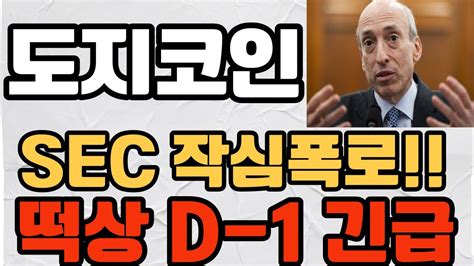 도지코인 미국sec 작심폭로 떡상 D 1 긴급속보 단독공개 도지코인목표가 도지코인전망 도지코인 Youtube