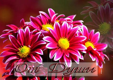 Открытка цветы чарующая с цветочками от души розовые цветы скачать
