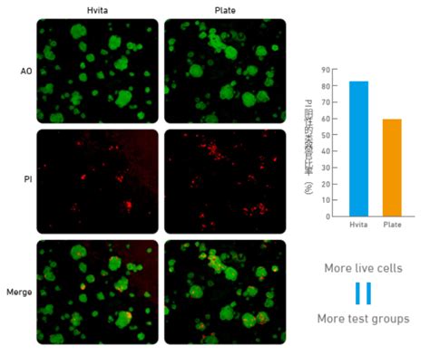 3d活细胞自动灌流培养系统