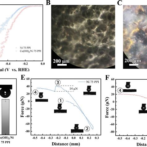 Polarization Curves Of Ni And Co Oh 2 Ni Electrodes A Optical
