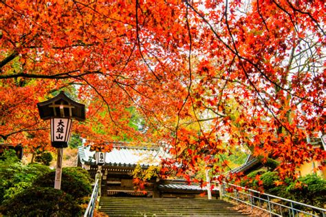 神奈川の穴場温泉8選！知る人ぞ知る名湯・秘湯 ｜特集 ｜【公式】神奈川県のお出かけ・観光・旅行サイト「観光かながわnow」