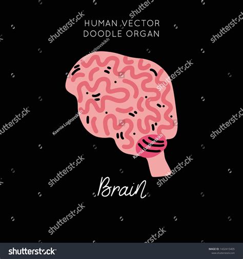 Human Brain Organ Cartoon Vector Isolated Stock Vector Royalty Free Shutterstock