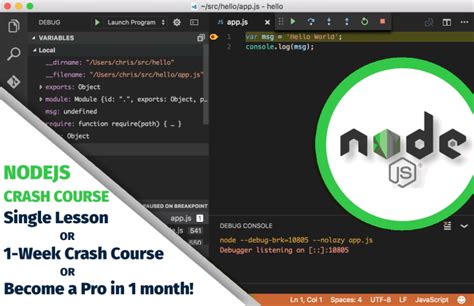 Tutor You In Nodejs By Maximetechbro Fiverr