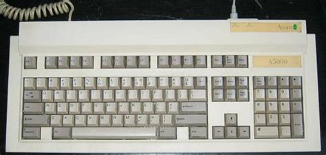 Chriss Acorns Acorn A5000