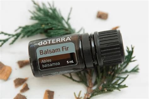 Ulei Esential Balsam Fir ️ Brad Balsamic ️ Doterra
