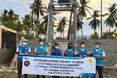 Pelaku Usaha Pertanian Di Bali Nikmati Electrifying Agriculture Hemat Persen JPNN