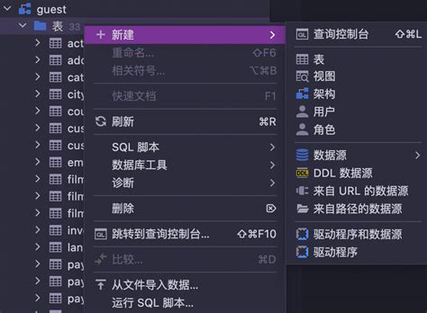 Datagrip使用入门 导出数据（四） （使用datagrip连接sql） 编程库