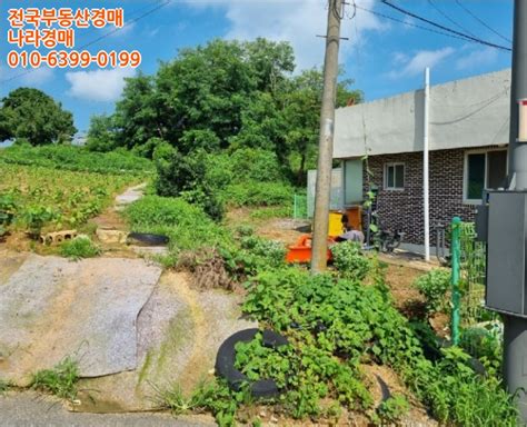 충남 천안시 서북구 천안 토지답경매 물건 2023타경3390