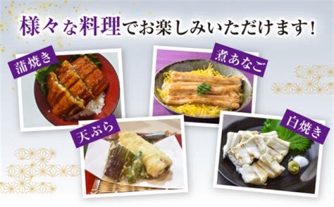 【最速発送】 対馬産 西沖あなご 200g×3パック《対馬市》【保家商事】 あなご アナゴ 穴子 海鮮 海産物 魚介 人気 ランキング 冷凍