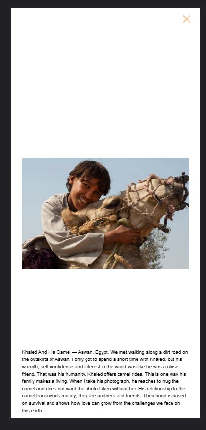 How To Make Image Captions In Gallery Show Up Only In Lightbox Under Image Customize With