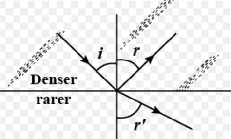 A Ray Of Light From A Denser Medium Strikes A Rarer Medium At An Angle