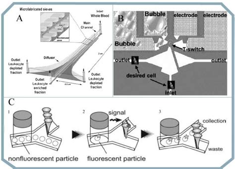 Other Sorting Mechanisms A Schematic Of The Diffusive Filter For