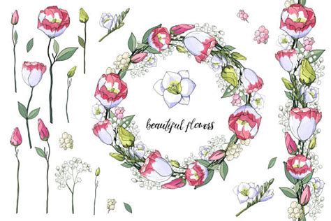 Gypsophile Couronne Vectoriels Et Illustrations Libres De Droits Istock