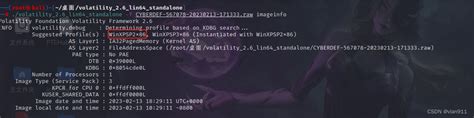 溯源取证 内存取证基础篇raw如何取证 Csdn博客 溯源取证 内存取证基础篇raw如何取证 Csdn博客