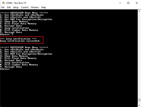 AES GCM GIP Instruction Xilinx En