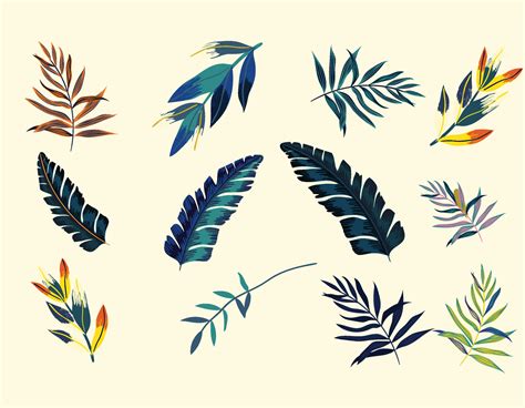 Hawaii Vector Art Icons And Graphics For Free Download