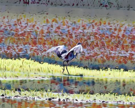 Taking Flight Faux Oil Digital Art By Daniel Beard Fine Art America