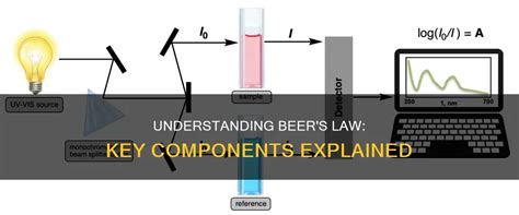 Understanding Beers Law Key Components Explained Lawshun