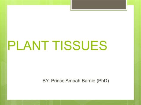 Plant Tissues 26 03 2021pptx Morphology Pptx