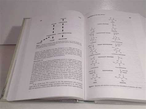 Plant Amino Acids Biochemistry And Biotechnology Von Singh Bejay K
