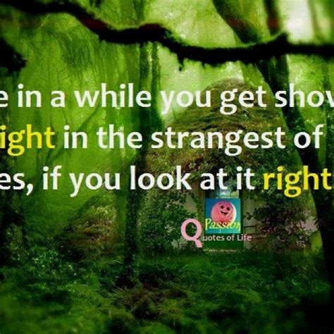 Grateful Dead Birthday Quotes Quotesgram