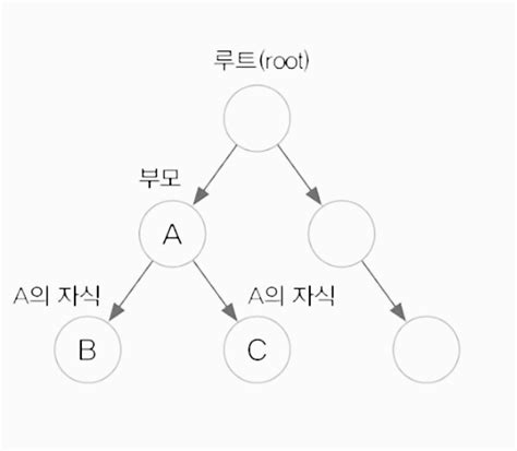 Java 15 컬렉션 자료구조 웅지의 개발새발