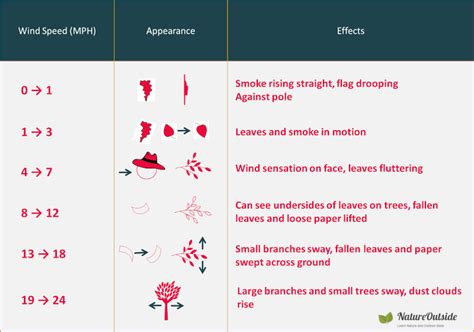 As The Wind Blows Estimating Wind Speed NatureOutside