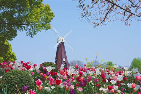 浮間公園 PhotoMap