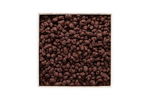 Nibbits® In Dark Chocolate Chocolate Covered Nuts Fruits And Nuts