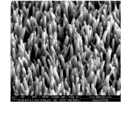 sem micrograph of zno nanorods array download scientific diagram