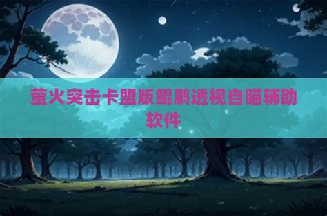 萤火突击卡盟版鲲鹏透视自瞄辅助软件 不二辅助网