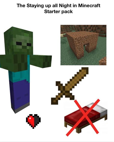 The Staying Up All Night In Minecraft Starterpack R Starterpacks